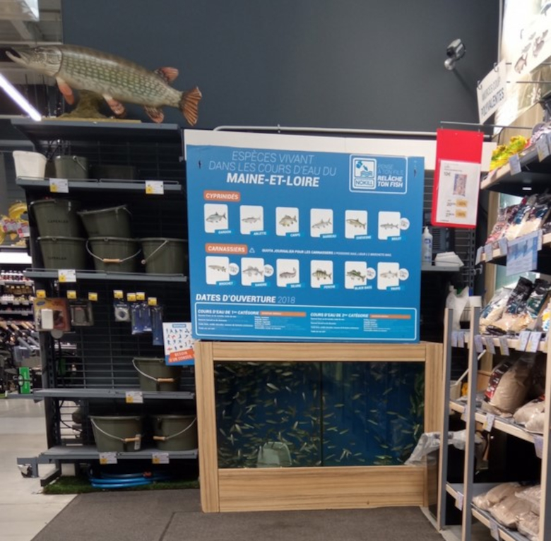 Le Decathlon des Ponts-de-Cé visé par une pétition contre la vente de ...